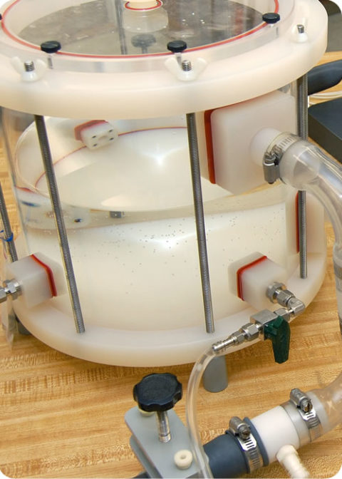 Special Order - Dynatek Labs